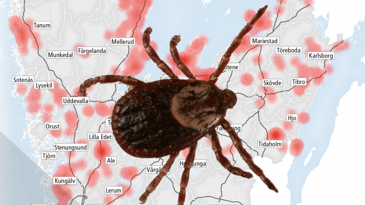 Nya riskområden för TBE – vaccination ger bäst skydd - VGRfokus - Dina ...